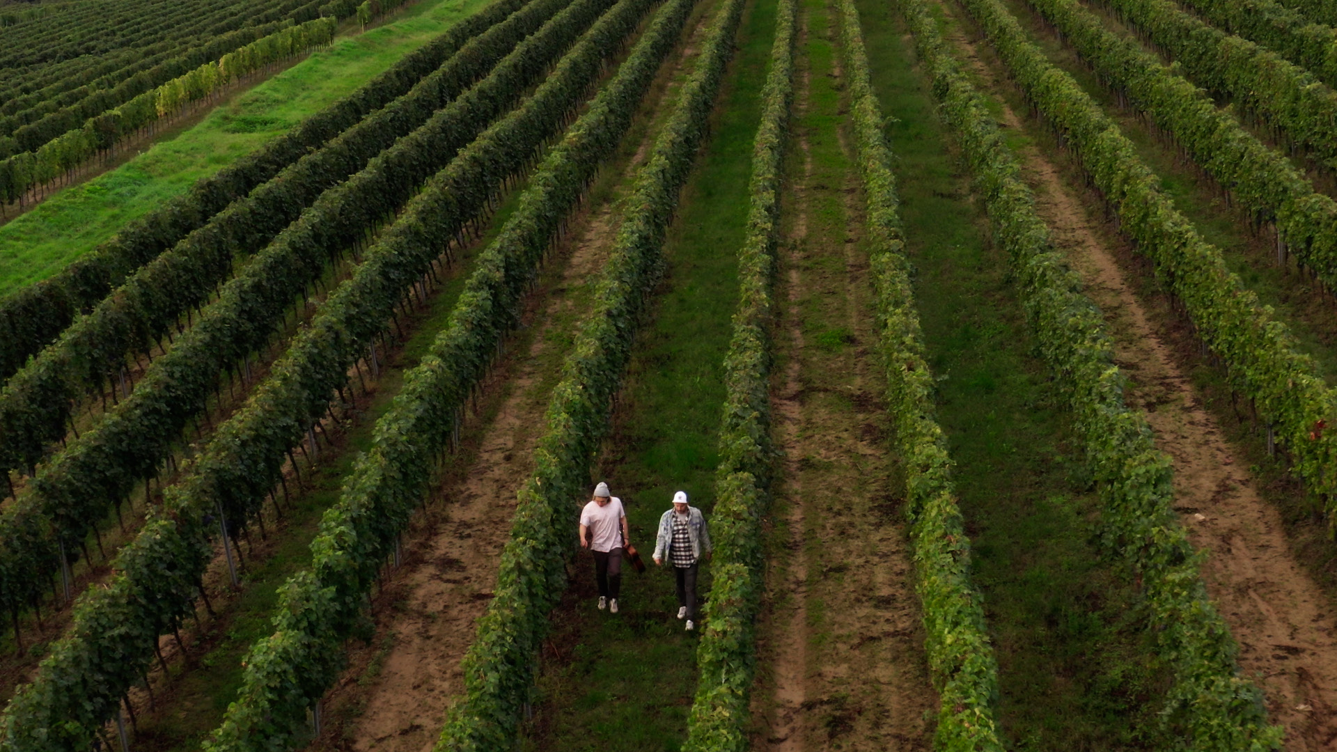 Villányt dicsőíti a Punnany Massif énekese - Magyar Konyha Online