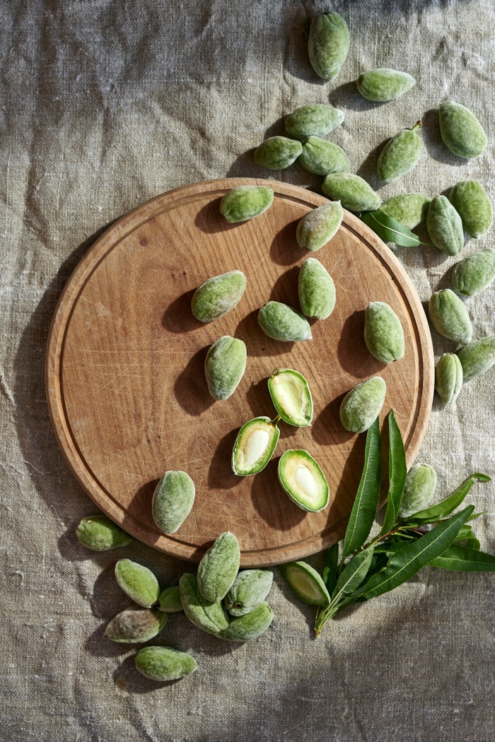 Indul a mandula! - Magyar Konyha Online